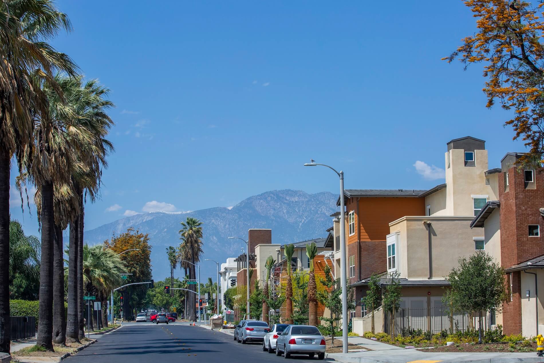 Force Science Training